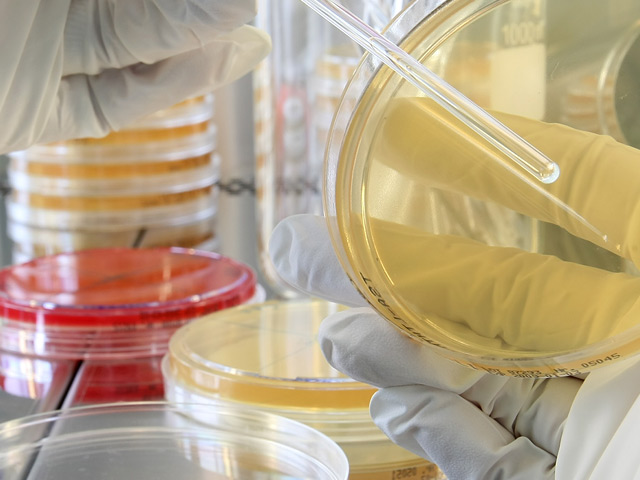 Firmenprofil mibe GmbH Arzneimittel in Brehna | yourfirm.de