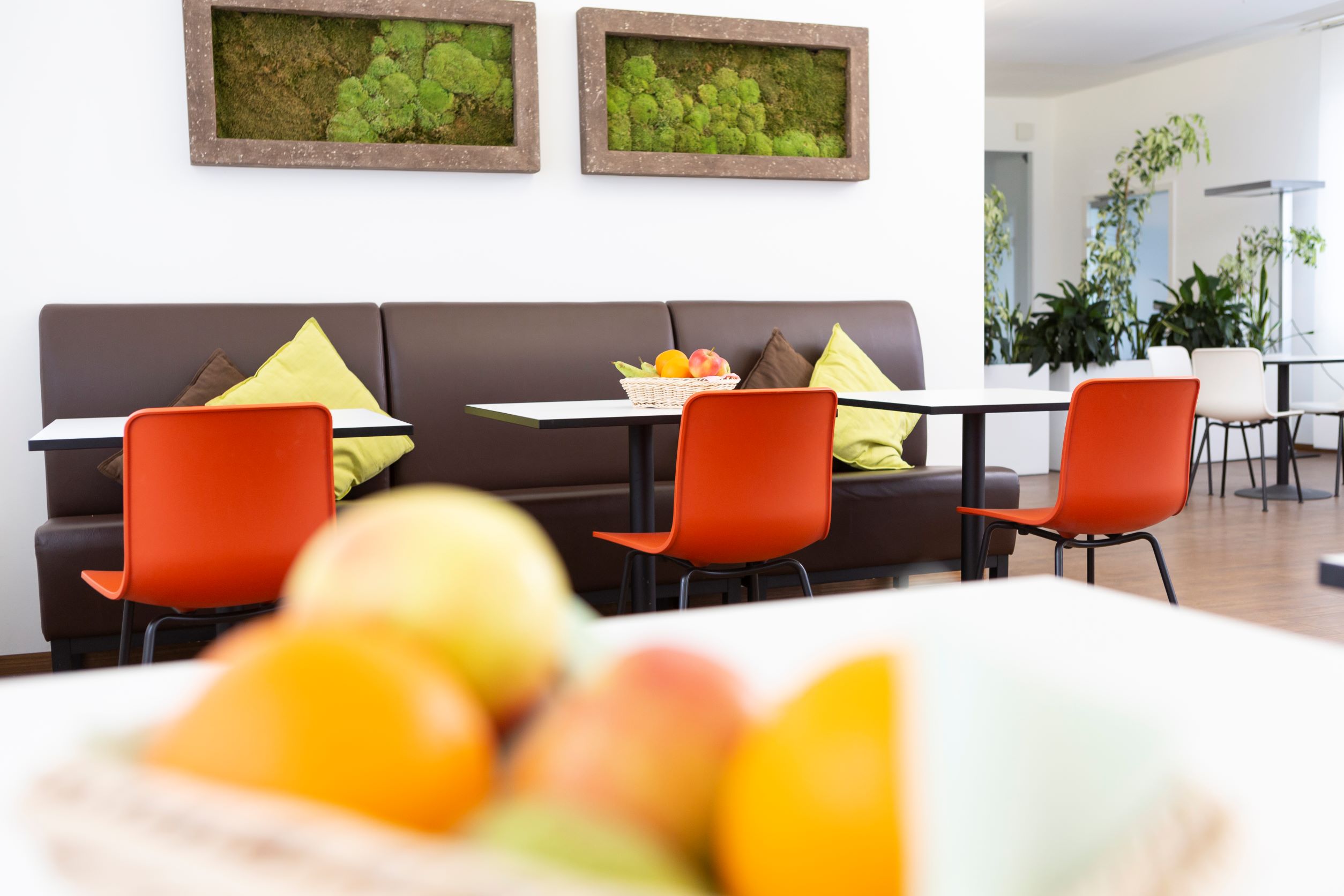 Firmenprofil EVYTRA GmbH in Villingen-Schwenningen | yourfirm.de